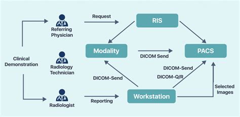 Radiology Information System Development A Step By Step Process Matellio Inc