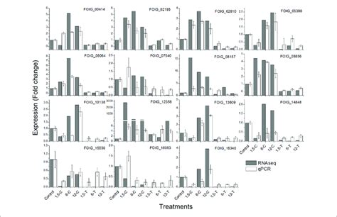 Quantitative Real Time PCR Validation Of Candidate Genes In Enriched Download Scientific