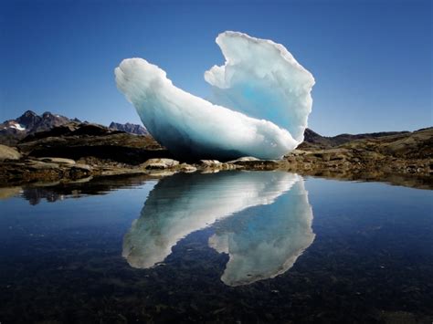 Eisschale Frank Daske Als Kunstdruck Oder Gemälde