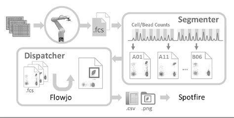 Figure 2 From A Fully Automated High Throughput Flow Cytometry