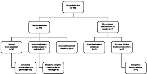 Numbers Of Patients Who Completed Induction Chemotherapy And Concurrent