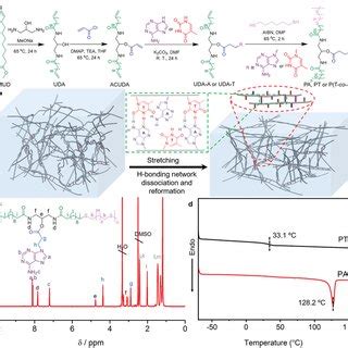 Characterization Of Complementary Nucleobasecontaining Flexible