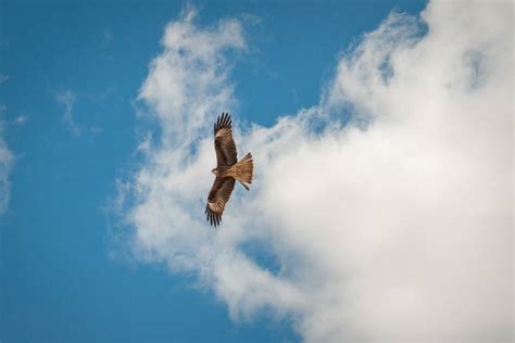 Баруун аймгийн үзэсгэлэнт газрууд Ямар цэлмэг юм бэ МОНГОЛын минь хөх тэнгэр Facebook