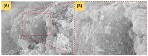 Water Free Full Text Synthesis Of Polyaniline Co Benzene Based
