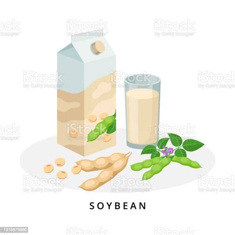 상자와 유리에 두유 식물 우유 비건 우유 개념 흰색 배경에서 격리된 벡터 그림입니다 대체 우유와 재료 콩 우유에 대한 스톡 벡터 아트 및 기타 이미지 Istock