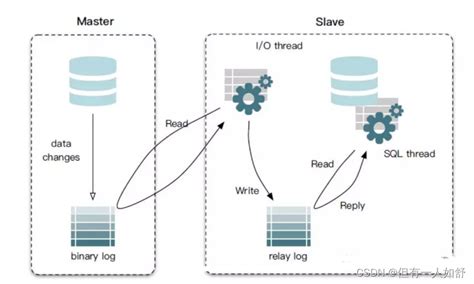 Mysql最常问的10道面试题（2023详解版）mysql 面试 Csdn博客