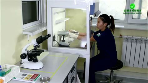 Нян судлалын шинжилгээ өгөхөд анхаарах зүйлс Youtube