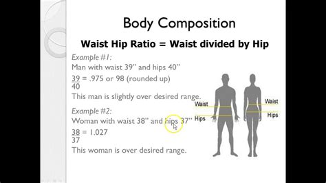 Body Composition Examples
