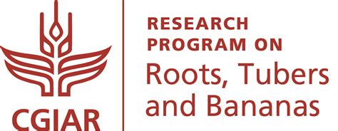 Communication Resources Cgiar Research Program On Roots Tubers And