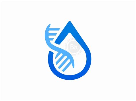 Dna Drop Logo Branition