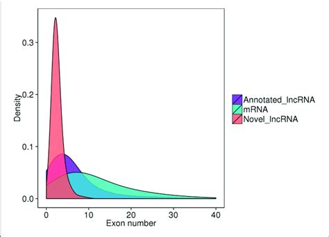 Exon Distribution Of Transcripts Download Scientific Diagram