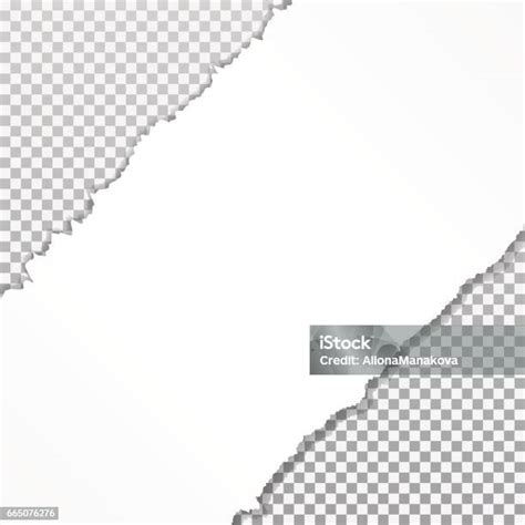 찢어진 종이와 현실적인 벡터 텍스트에 대 한 공간을 가진 가장자리를 찢 어 가장자리에 대한 스톡 벡터 아트 및 기타 이미지 가장자리 잘려지거나 찢어진 종이 투명한
