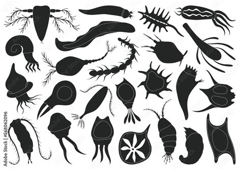 Plankton Vector Black Set Icon Isolated Black Set Icon Phytoplankton Vector Illustration