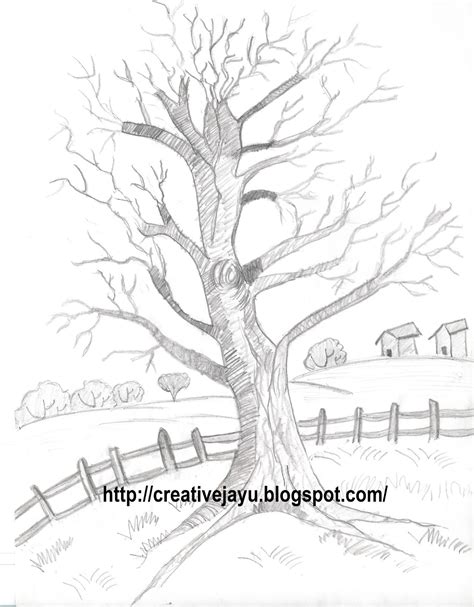 Creative Jayu S Blog A Few Of My Pencil Sketches