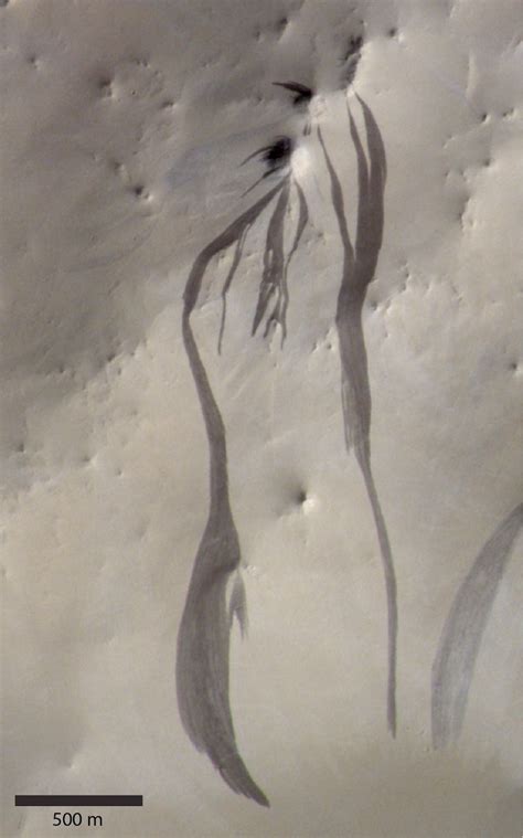 Scientists Find Strongest Evidence Yet Of Life On An Alien Planet Reuters