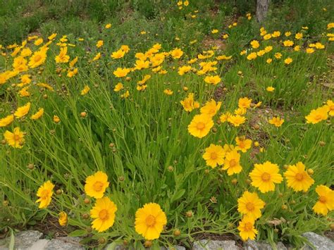 Dotcpp 编程小白的梦幻网站 哔哩哔哩