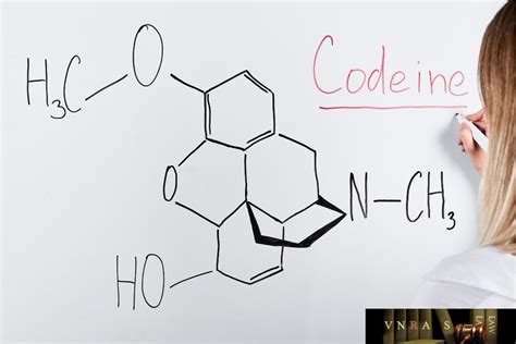 Thông Tin Thuốc Codein Thuốc Giảm đau Nhóm Opioid