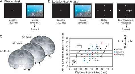 Figure 1 From Comparison Of Associative Learning Related Signals In The