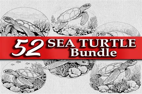 Sea Turtle Vector Bundle Svg Png Eps Dxf Graphic By First Edition Studios · Creative Fabrica Sea Turtle Vector Bundle Svg Png Eps Dxf Graphic By First Edition Studios · Creative Fabrica