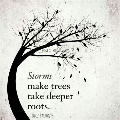 Inspirational Tree Quotes