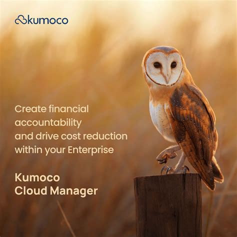 Kumoco On Linkedin Cloudmanagement Finops Costreduction
