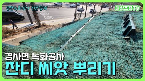 잔디씨앗뿌리기 잔디씨앗파종 씨앗파종 씨앗뿌리기 경사면잔디뿌리기 전국 법면녹화공사 전문업체 대성조경 Youtube