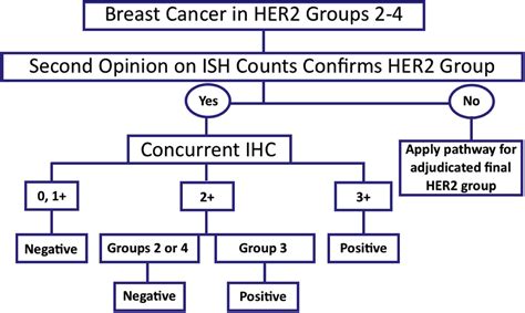 Asco Cap 2018 Breast Cancer Her2 Testing Guidelines Summary Of Pertinent Recommendations For
