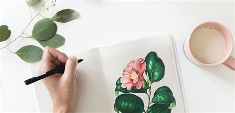 Intex Sand Filter Manual Easy Setup And Troubleshooting Guide