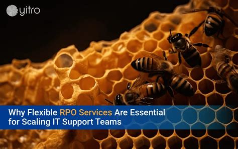 Contact Us Yitro Global