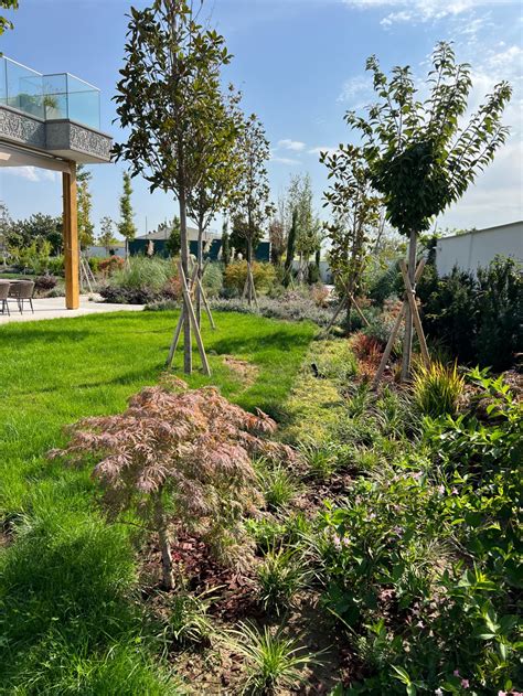 ბაღის დიზაინი ბაღის დიზაინი