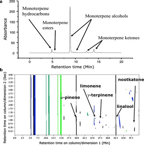 Nplc A And Lc Gc × Gc Chromatograms Of Bergamot Oil B The Run Time Download Scientific