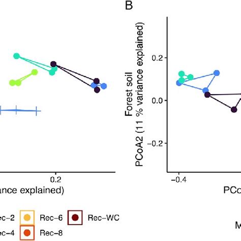 Principal Coordinate Analysis Pcoa Ordinations Of Bacterial