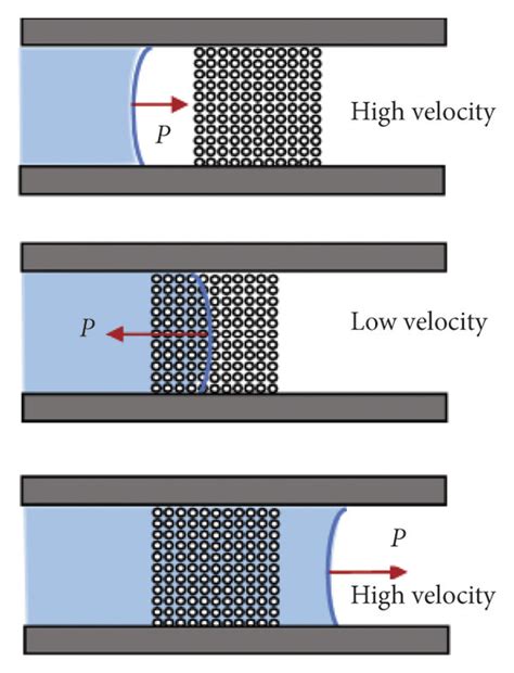 Schematic Illustrating The Fluid Sample Flow Process Through The