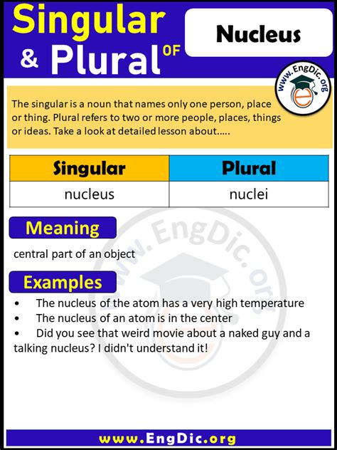 Plural Form Of Nucleus EngDic