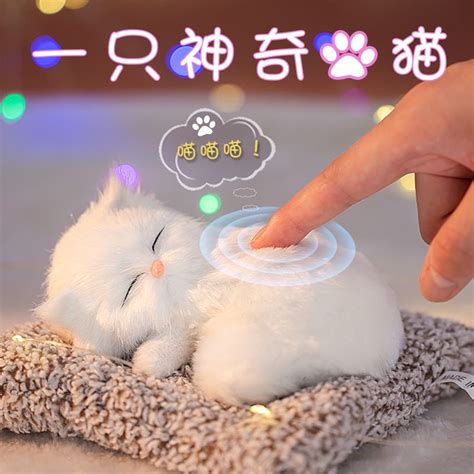 台北出貨🌸 女孩子 生日禮物 送禮 12歲十歲78歲9歲5歲男童六一兒童節小朋友男孩10歲 蝦皮購物