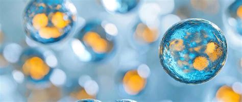 The Examination Of Diverse Biological Specimens Using A Detailed