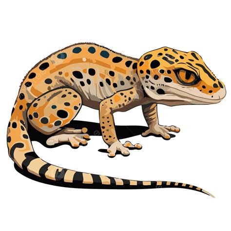 레오파드 게코 벡터 점박이 도마뱀 만화의 스티커 클립 아트 다채로운 그림 상표 클립 아트 Png 일러스트 및 벡터 에 대한 무료 다운로드 Pngtree