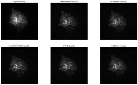 Pystackreg Tutorial Pystackreg Documentation