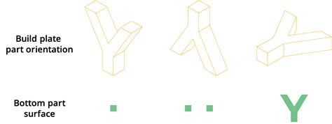 Pollen Am Part Orientation
