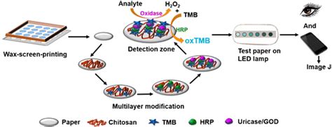 Sensitive Colorimetric Assay For Uric Acid And Glucose Detection Based On Multilayer Modified