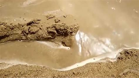 河道淤沙现实模型河漫滩就是这样形成的是不是好神奇 高清1080P在线观看平台 腾讯视频