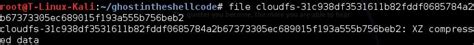 Ghost In The Shellcode 2015 Ctf Write Up For Cloudfs Challenge Rnetsec