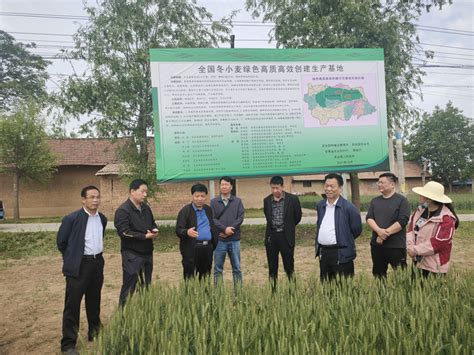 省农技推广总站李城德书记一行赴灵台县开展农技推广重点工作调研督导 甘肃三农在线