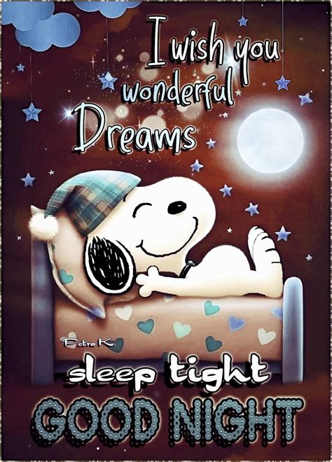 Pin By Ruth Risner On Snoopy Funny Good Night Images Good Night