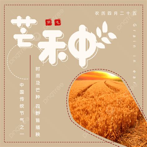 심 플 복고 망 종 절기 템플릿 Psd 다운로드 디자인 자료 다운로드