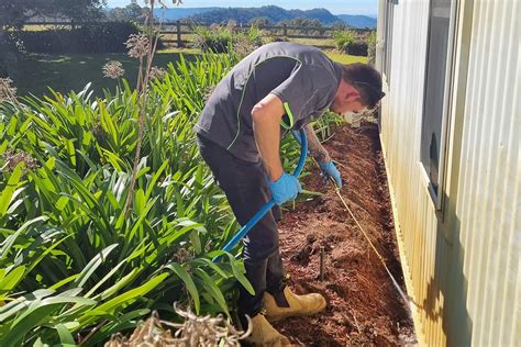 Exterminate Pest Solutions Top Pest And Termite Control Gold Coast