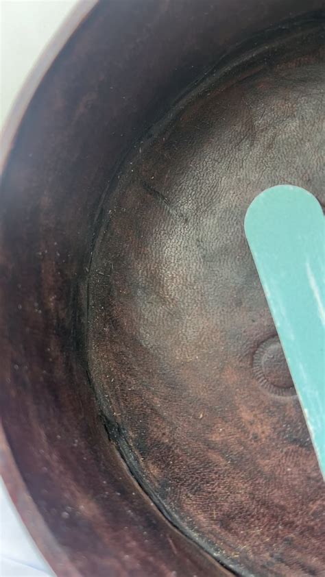 Tiny Little Whitetranslucent Bugs Rwhatisthisbug