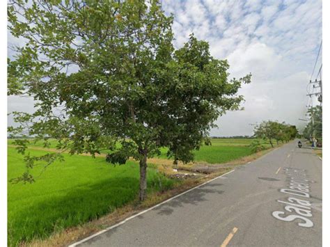 ขายที่ดินบางน้ำเปรี้ยว 38 ไร่ ติดถนนซอยศาลาแดง10 ติดคลอง ใกล้เดอะไพน์กอล์ฟ คลับ 2 กม ศาลาแดง