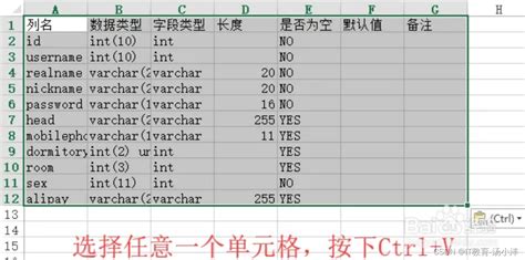 Navicat如何导出excel格式的表结构navicat导出表结构到excel Csdn博客
