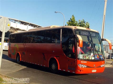 ← Buses Sol Del Pacifico ©→